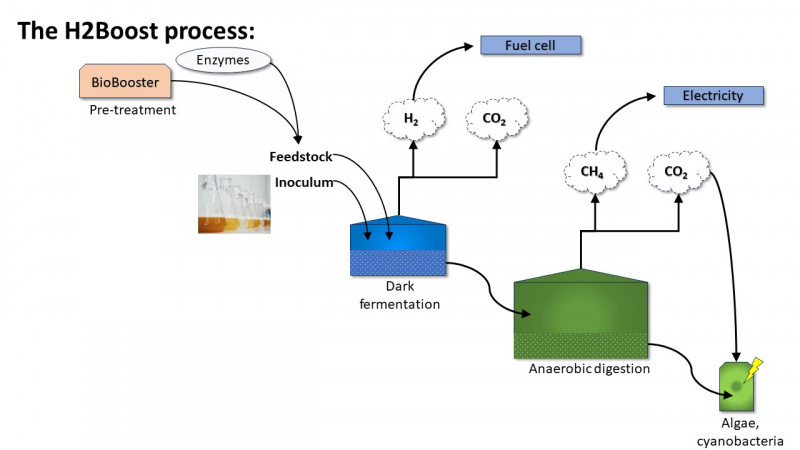 Biorenewables Development Centre - Producing biohydrogen for the UK ...